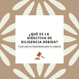 ¿Qué es la Directiva de Diligencia Debida y por qué es importante para tu negocio? - Bolsalea